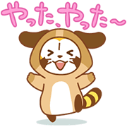 ANIMAL ☆ RASCAL Animated Stickers LINE WhatsApp Sticker GIF PNG